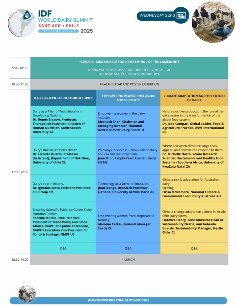 Full program – IDF WDS 2025